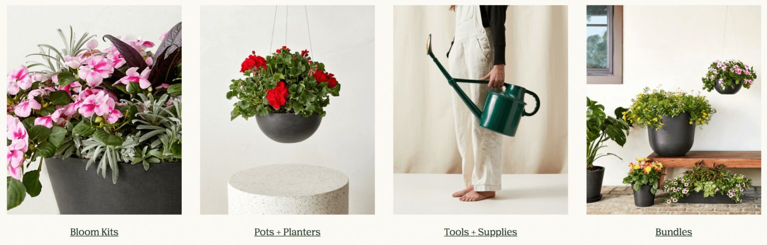 Bloomscape Reviews - Your New Favorite Plant Store? | ClothedUp