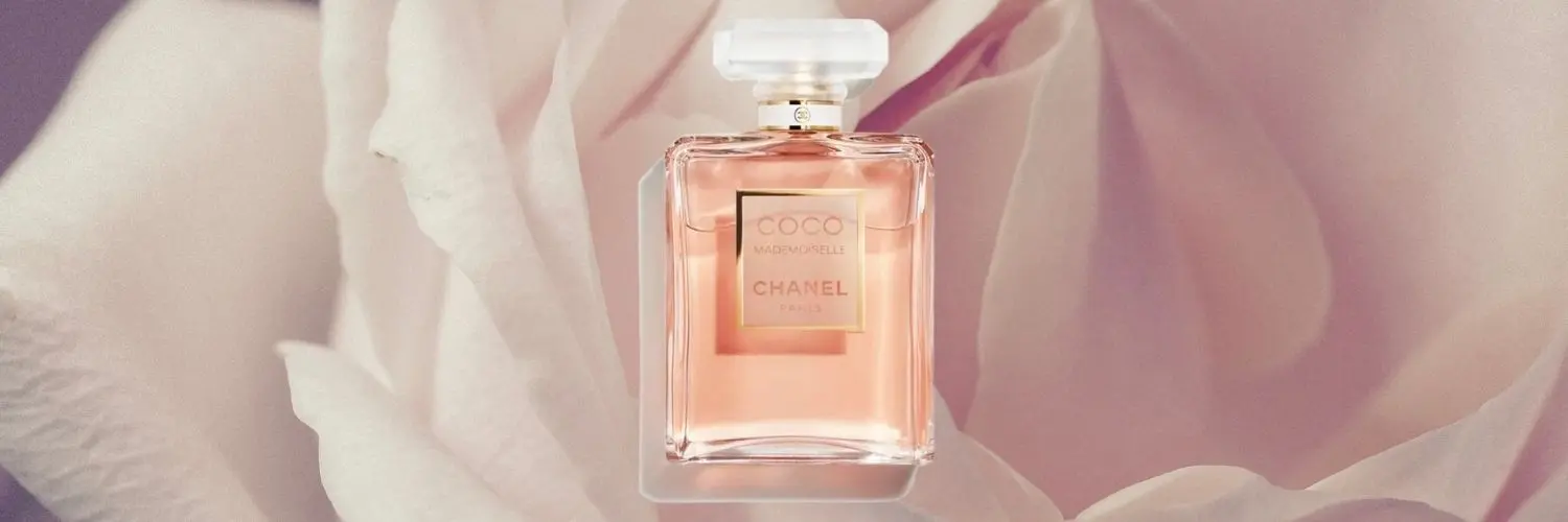 The 8 Best CHANEL Perfumes You Deserve | ClothedUp